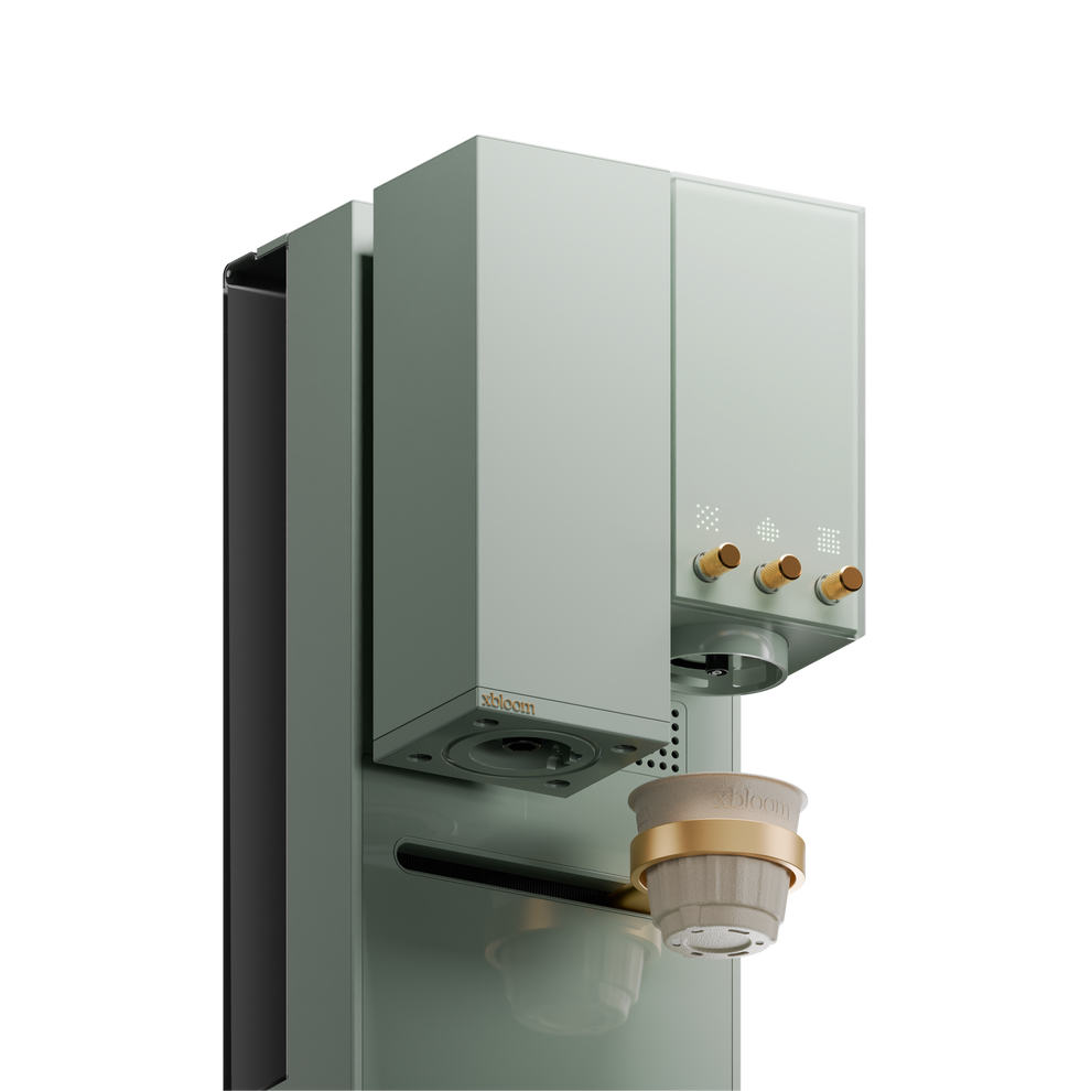 XBloom Studio - Sega Green Gold – to brew