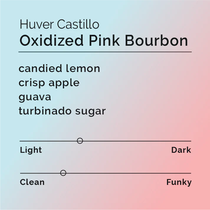 Huver Castillo - Oxidized Pink Bourbon - Colombia – to brew